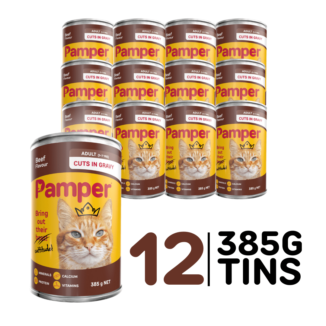 Pamper Beef Cuts In Gravy Wet Cat Food 385gm X 12 - Bob Martin & Co